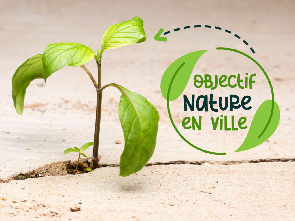 Objectif nature en ville : Atlas de la biodiversité - Ville de Ris ...